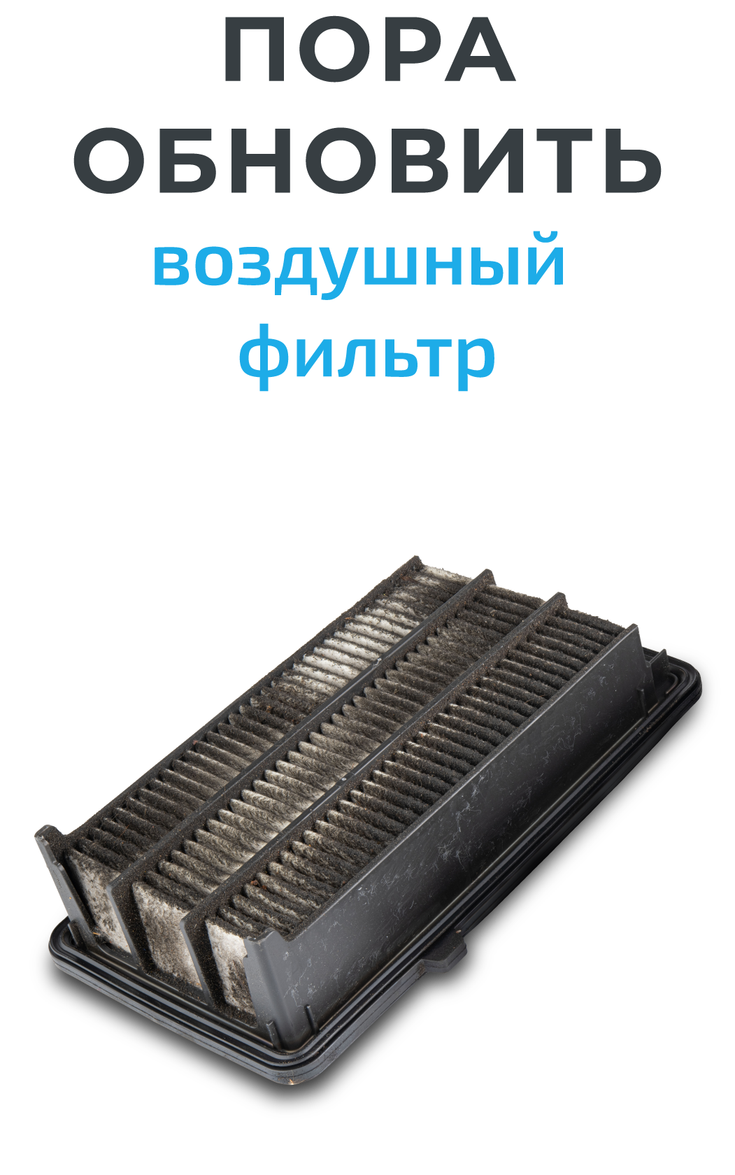 2992159 Iveco Вкладыши шатунные от производителя по спец цене купить в ...