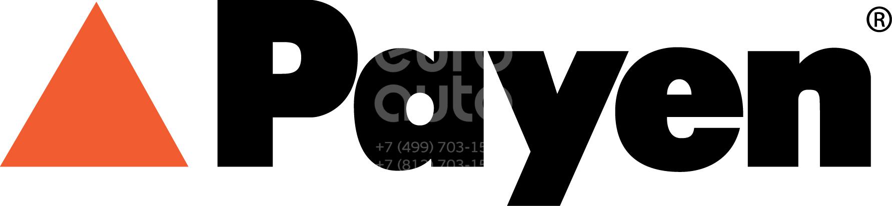 AG8341 Payen от 2794 руб. в Москве