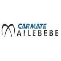 D38RU Carmate Очиститель от производителя по спец цене купить