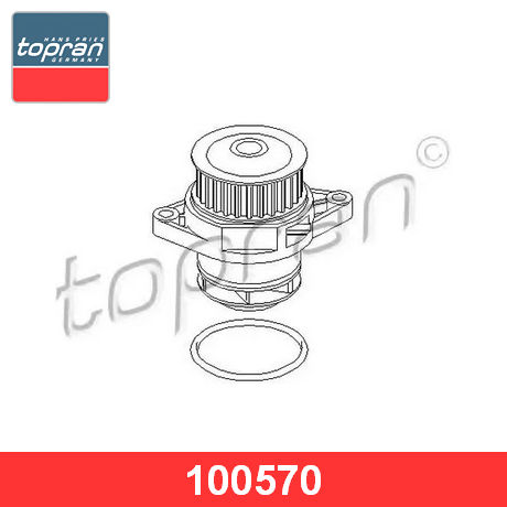 100570 Hans Pries в Москве