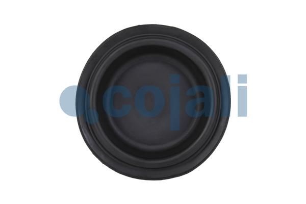 6001114 Cojali от 813 руб. в Москве