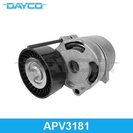 APV3181 Dayco от 1959 руб. в Москве