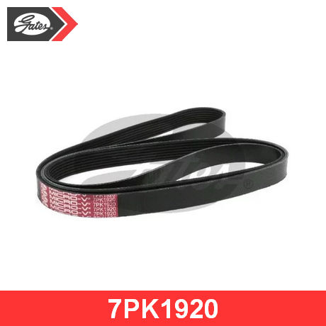 7PK1920 Gates от 1903 руб. в Москве