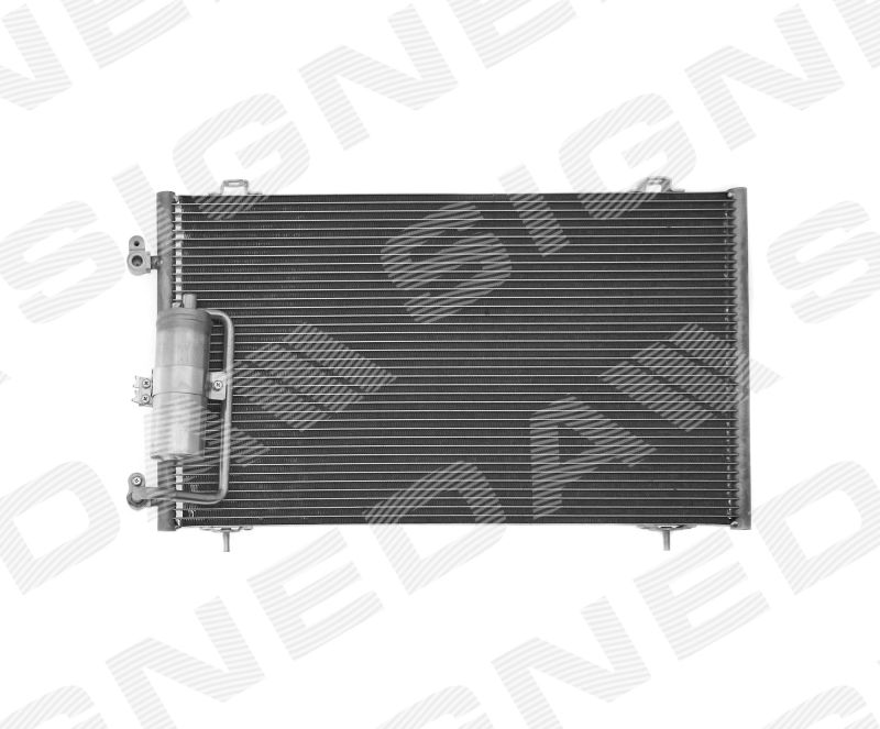 RC943055 SIGNEDA в Москве