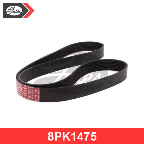 8PK1475 ContiTech Ремень ручейковый от производителя по спец цене купить