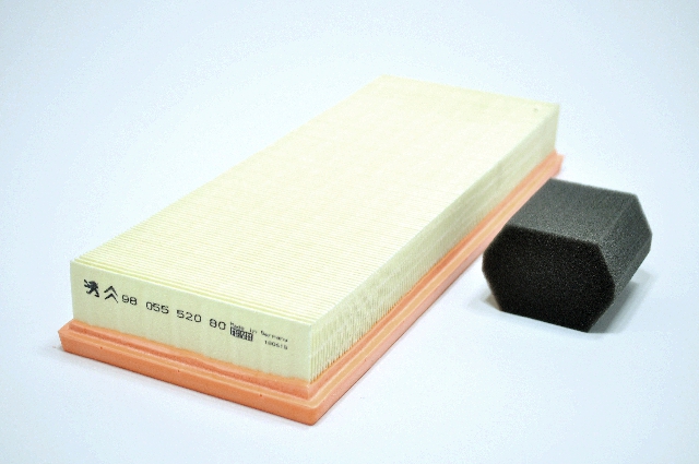 9805552080 Citroen-Peugeot от 1465 руб. в Москве