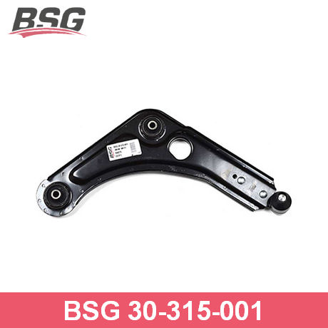 BSG30-315-001 BSG Auto Parts (BASBUG) от 2416 руб. в Москве