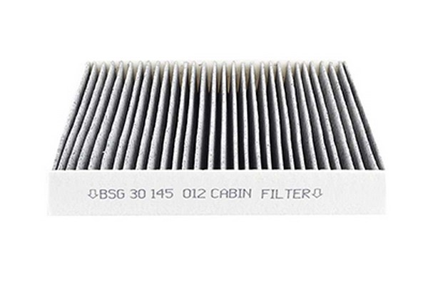 BSG30-145-012 BSG Auto Parts (BASBUG) от 336 руб. в Москве