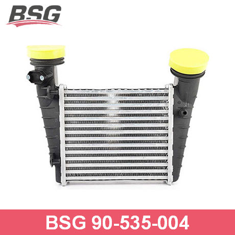 BSG90-535-004 BSG Auto Parts (BASBUG) от 4345 руб. в Москве