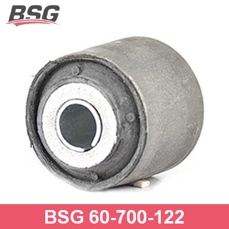 BSG60-700-122 BSG Auto Parts (BASBUG) от 228 руб. в Москве