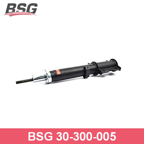 BSG30-300-005 BSG Auto Parts (BASBUG) от 3544 руб. в Москве