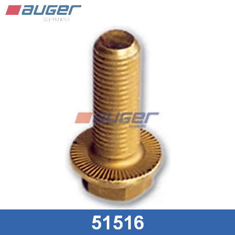 51516 Auger Болт от производителя по спец цене купить в Санкт-Петербурге