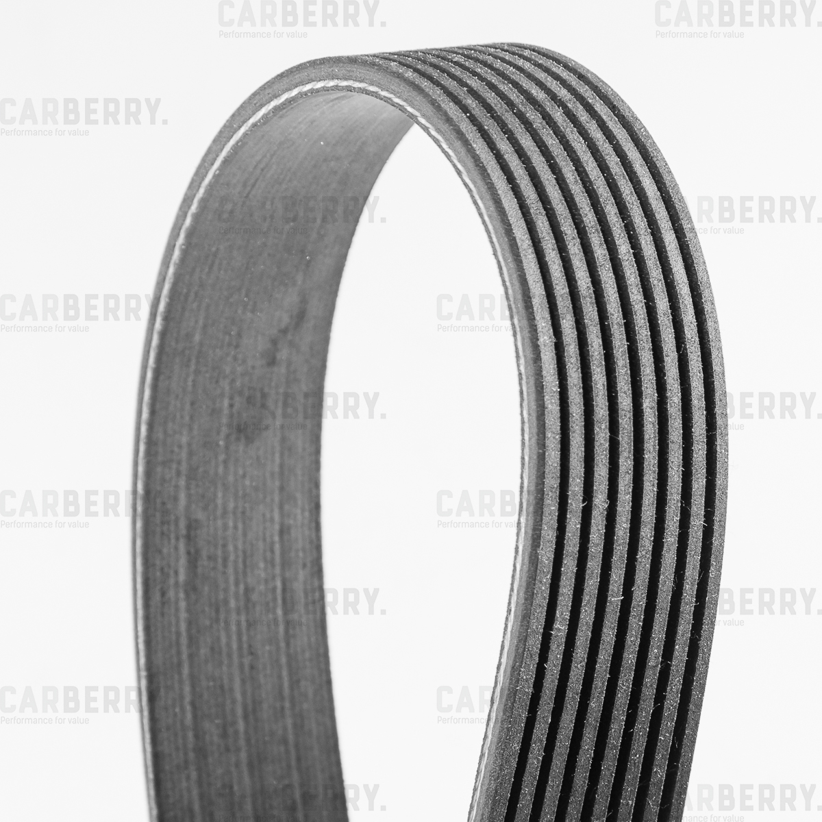 8PK1478 CARBERRY от 1215 руб. в Москве