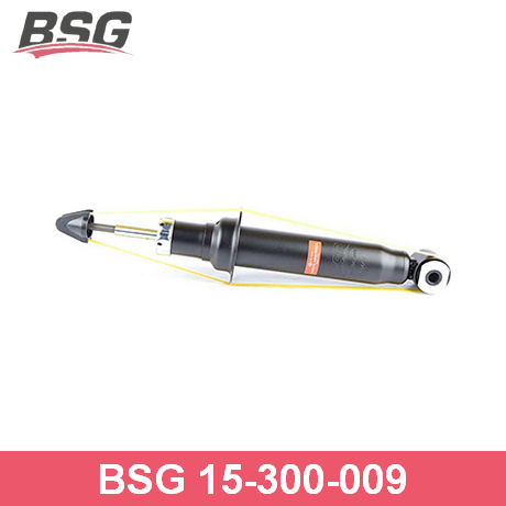 BSG15-300-009 BSG Auto Parts (BASBUG) в Москве