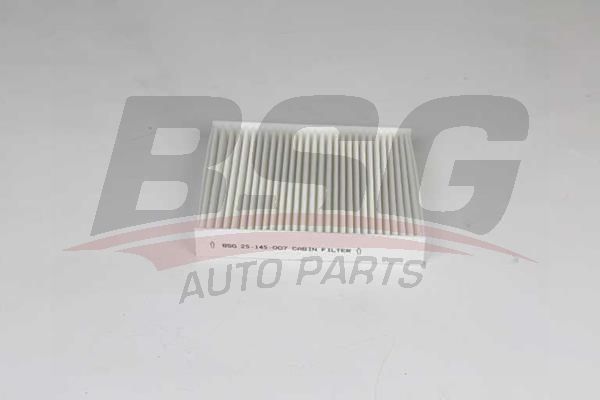 BSG25-145-007 BSG Auto Parts (BASBUG) от 381 руб. в Москве