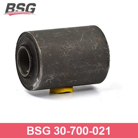 BSG30-700-021 BSG Auto Parts (BASBUG) от 556 руб. в Москве
