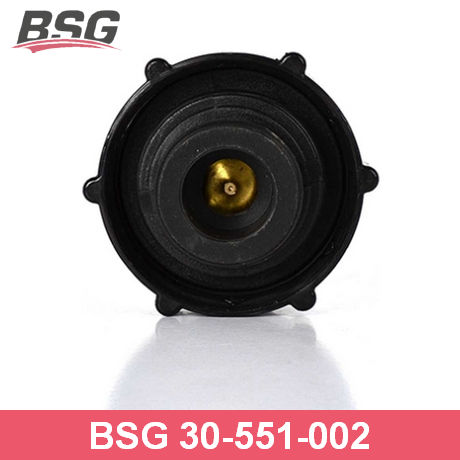 BSG30-551-002 BSG Auto Parts (BASBUG) от 385 руб. в Москве