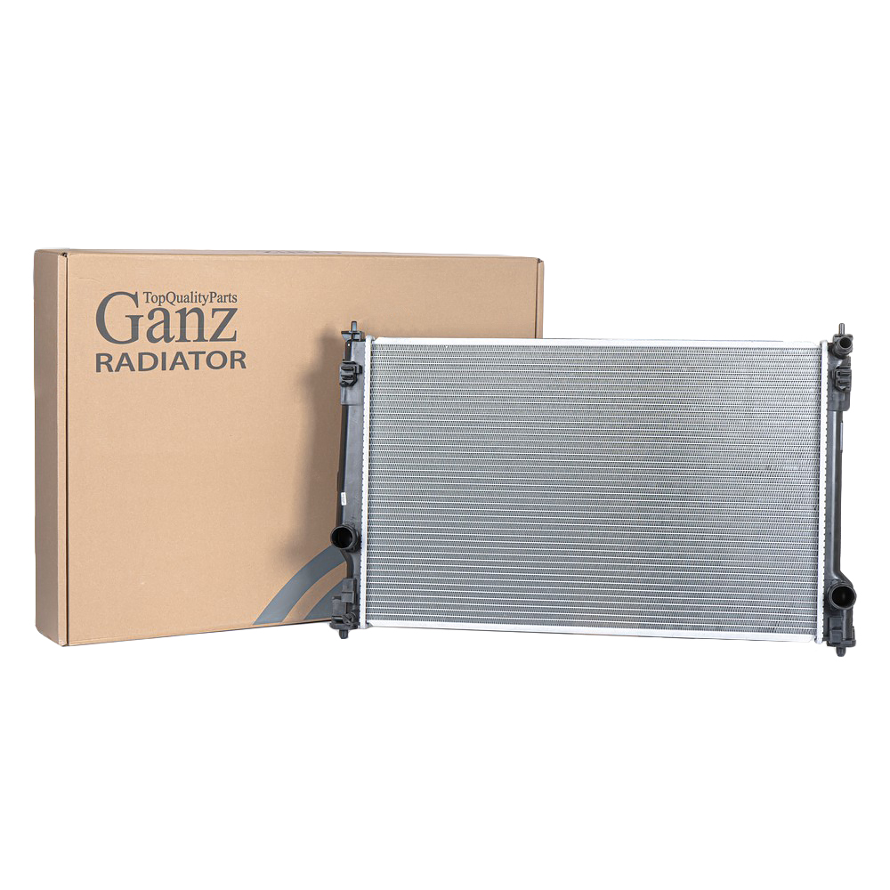 GIJ21298 Ganz от 12309 руб. в Москве