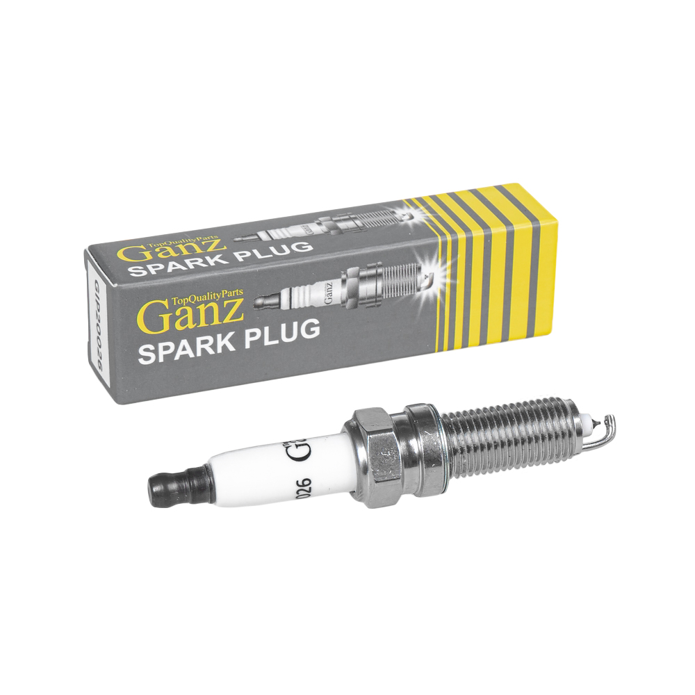 GIP20026 Ganz от 842 руб. в Москве