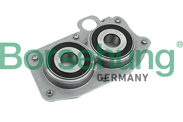 Borsehung B18152 Подшипник КПП