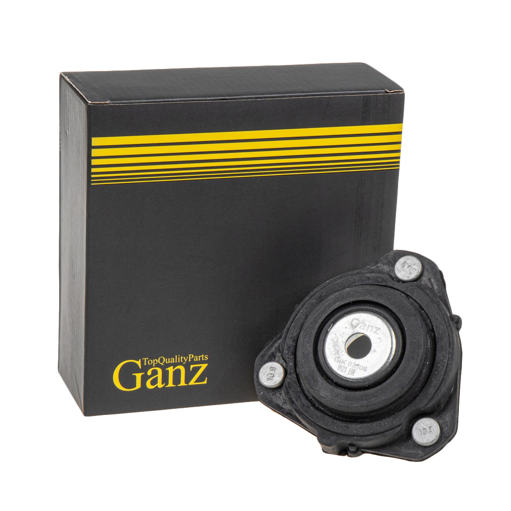 GIK02506 Ganz от 411 руб. в Москве