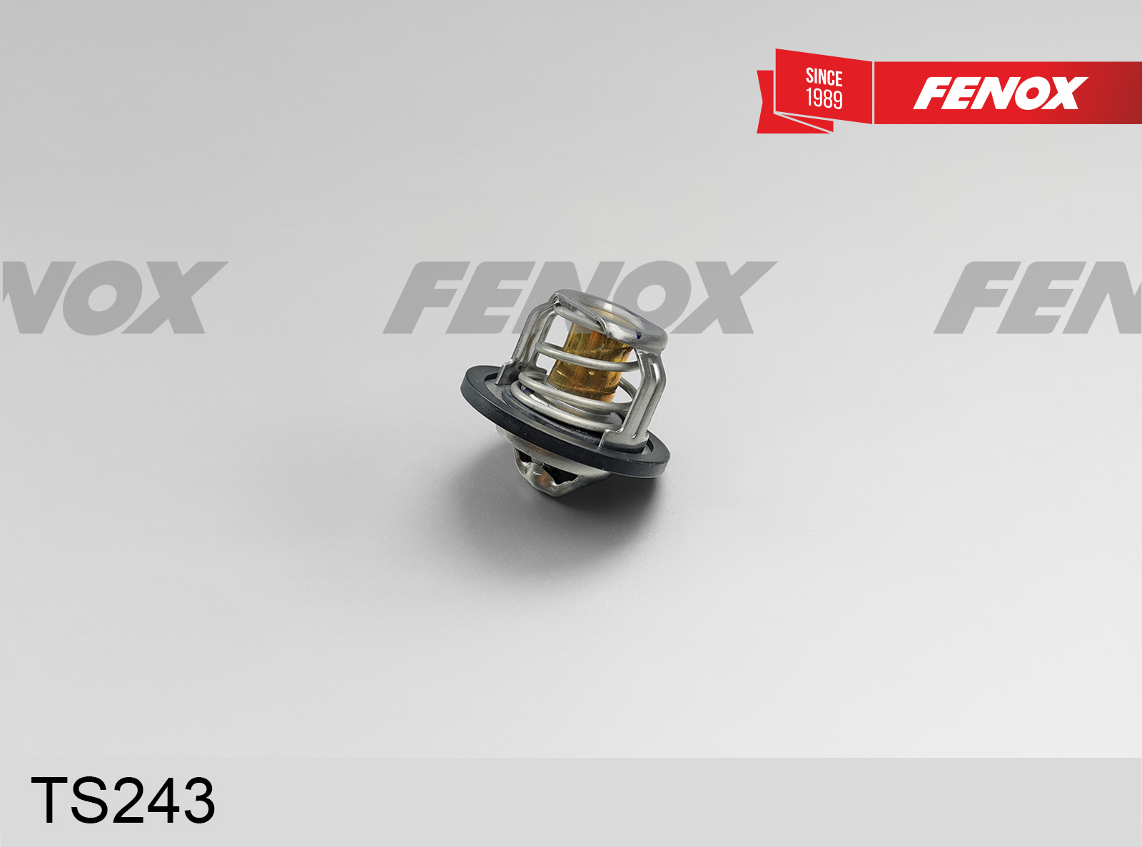 TS243 FENOX от 678 руб. в Москве