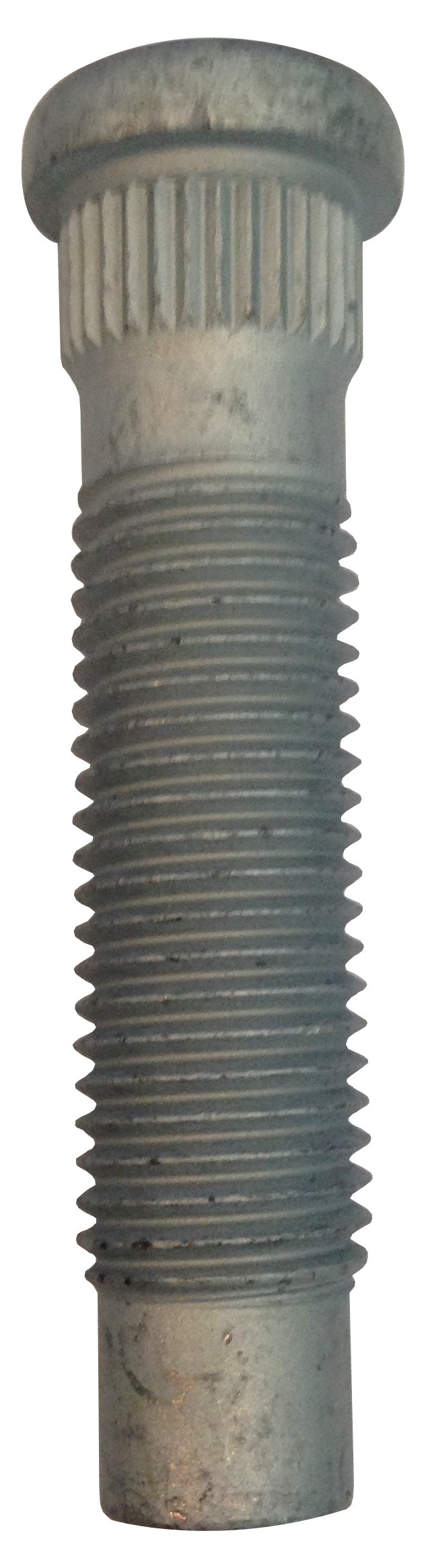 09595179 GM от 134 руб. в Москве