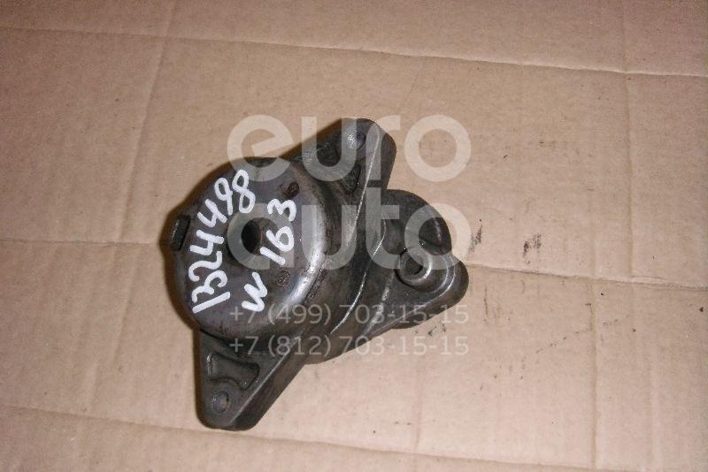 Кронштейн ролика-натяжителя руч. ремня для Mercedes Benz W163 M-Klasse ...