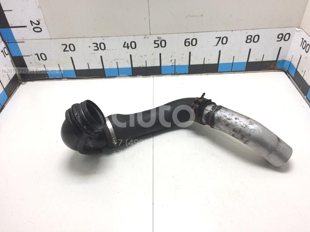 OP13020275 Dominant от 1800 руб. в Москве