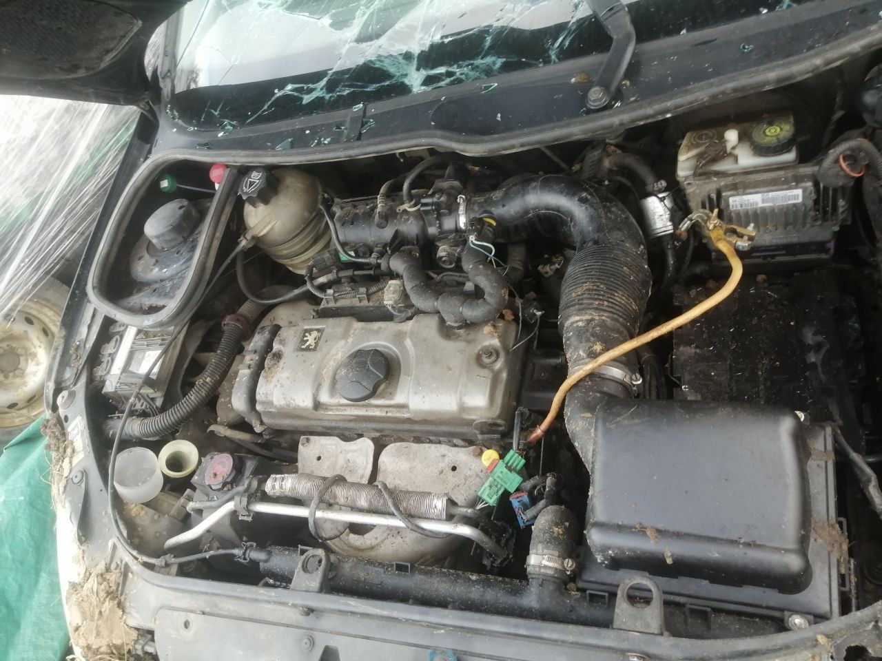 Peugeot 206 1998-2012 в разборке | ЕвроАвто