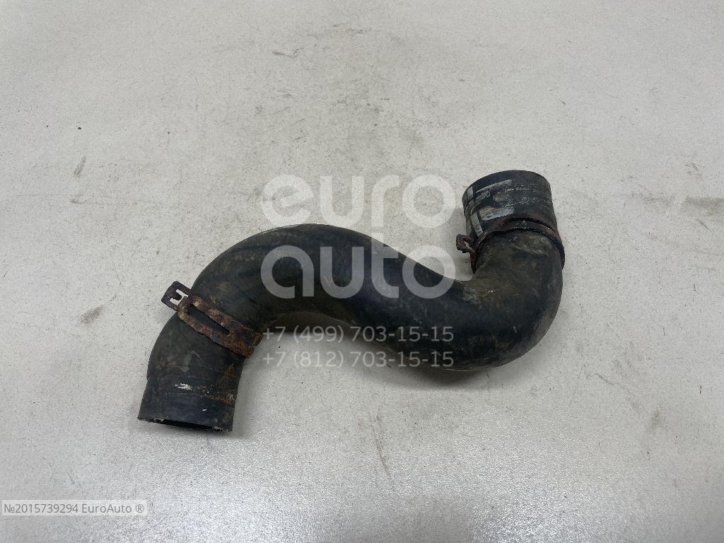 SWH0442 Sasic от 519 руб. в Москве