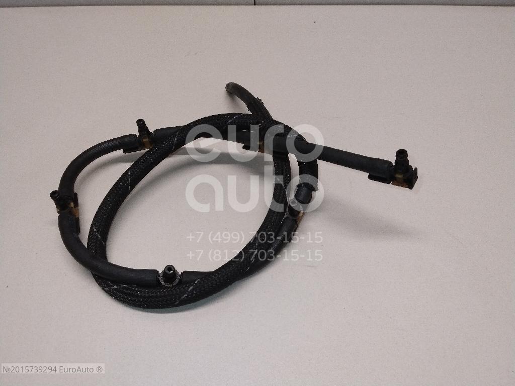 BW130537823399 Dominant от 3562 руб. в Москве