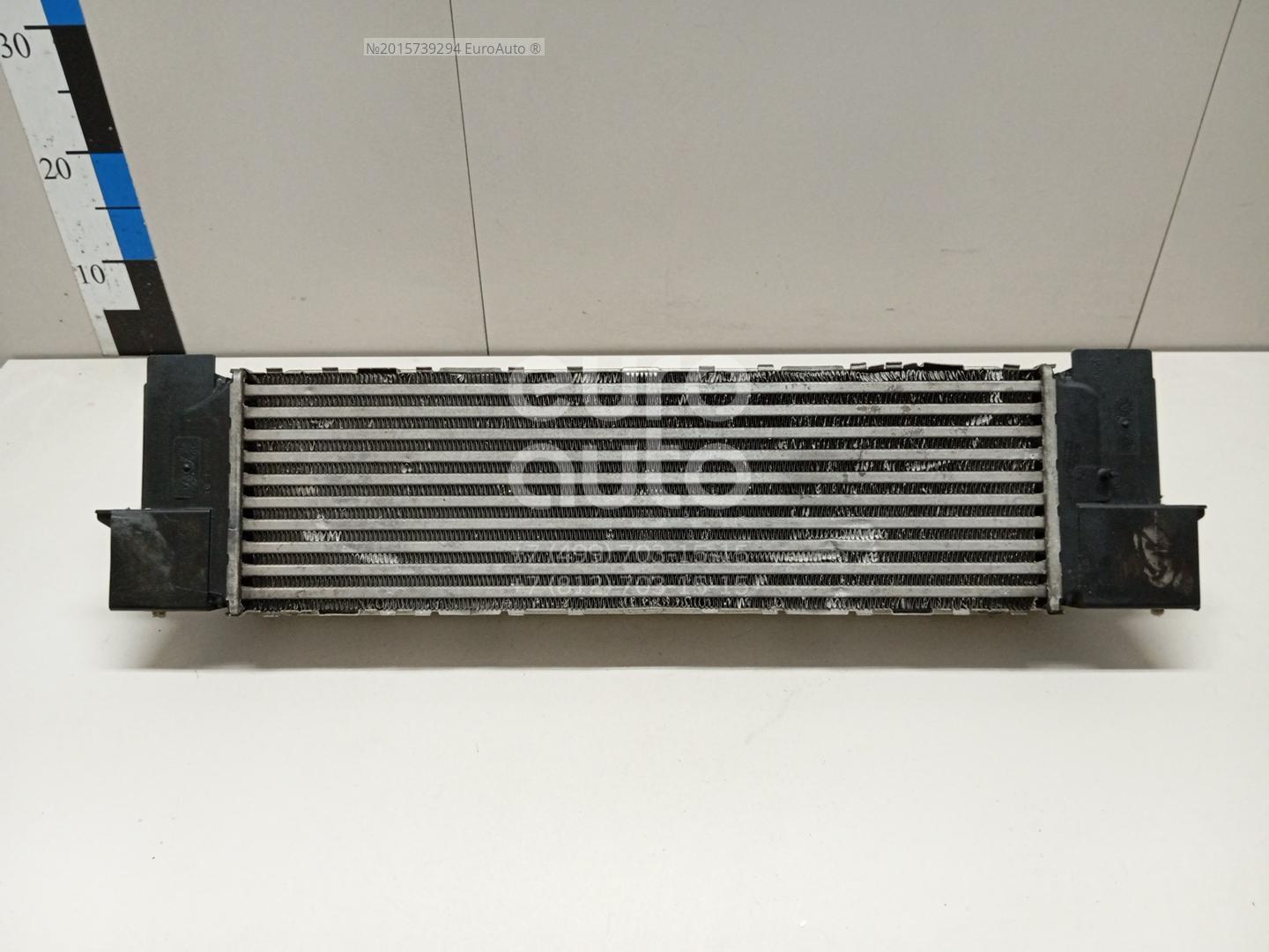 BW170517823570 Dominant от 6346 руб. в Москве