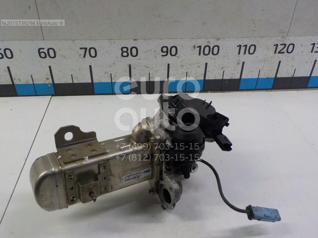 1855876 Ford от 1239 руб. в Москве