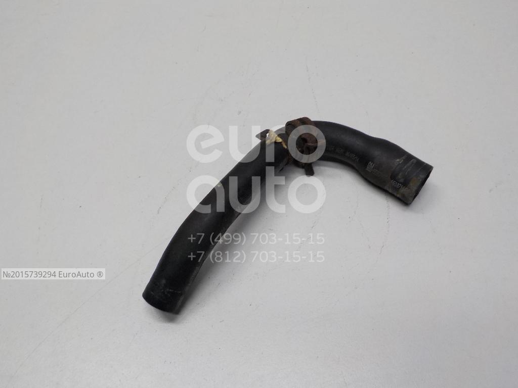 55578995 GM от 293 руб. в Москве