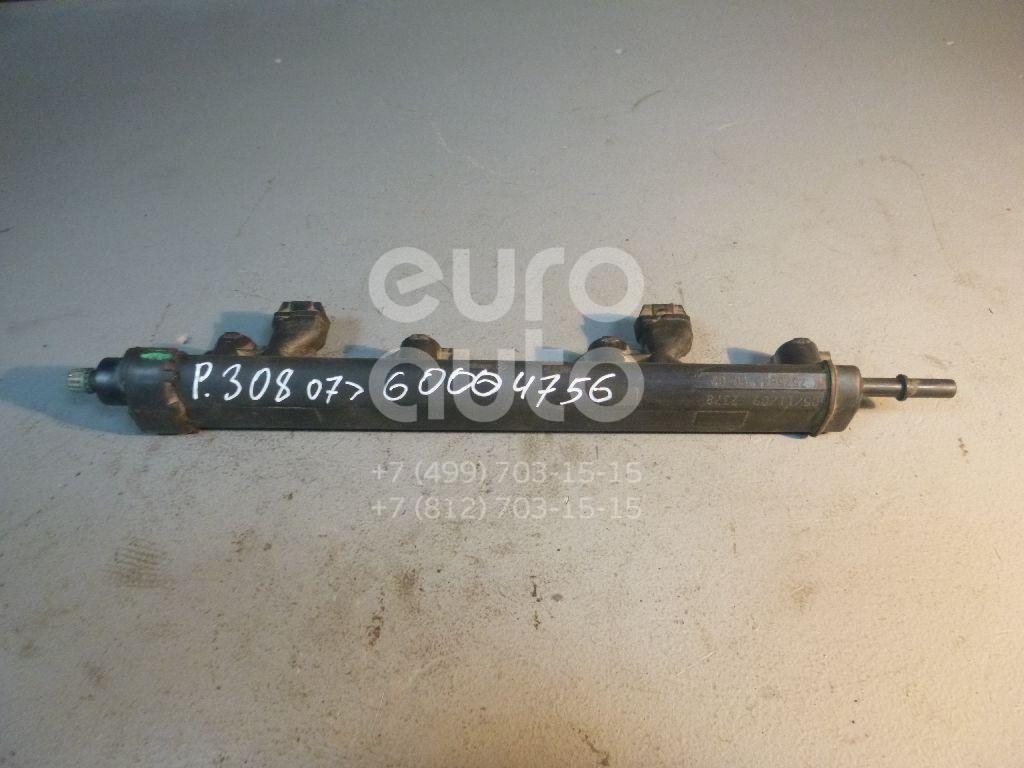 198552 Citroen-Peugeot Рейка топливная (рампа) от производителя по спец ...