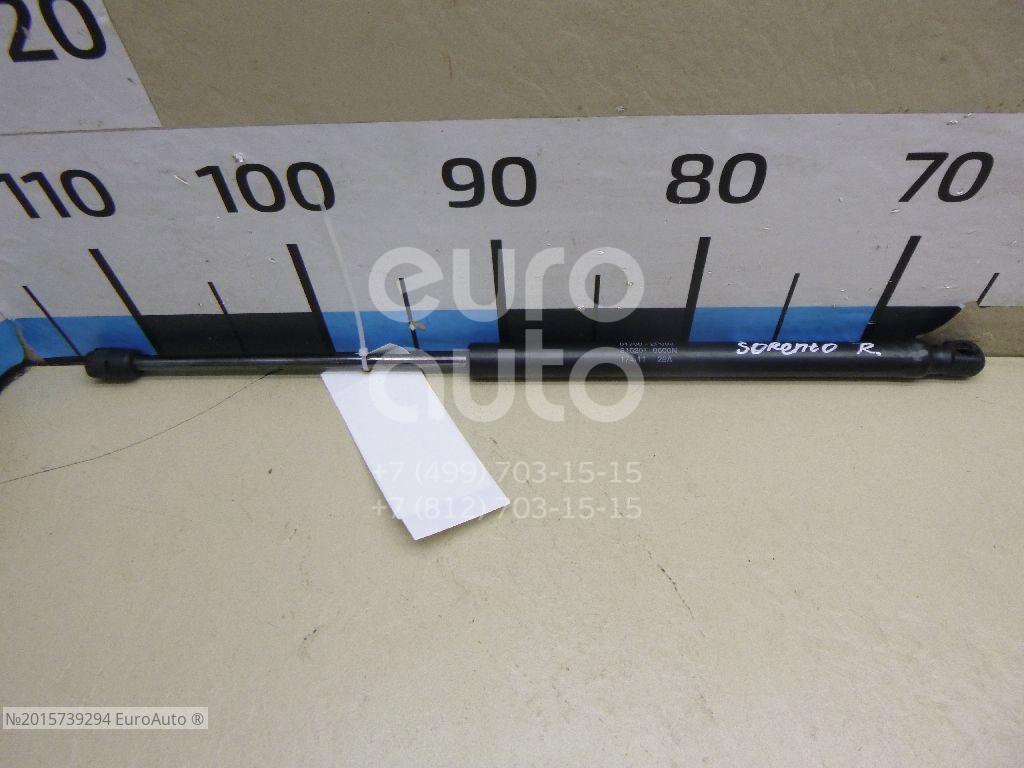 GF-2480 Zekkert от 300 руб. для Kia Sorento II (XM) 2009-2020 в Москве