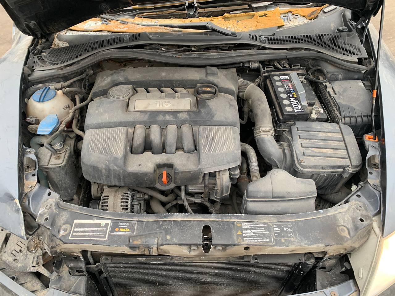 Skoda Octavia (A5 1Z-) 2004-2013 в разборке | ЕвроАвто