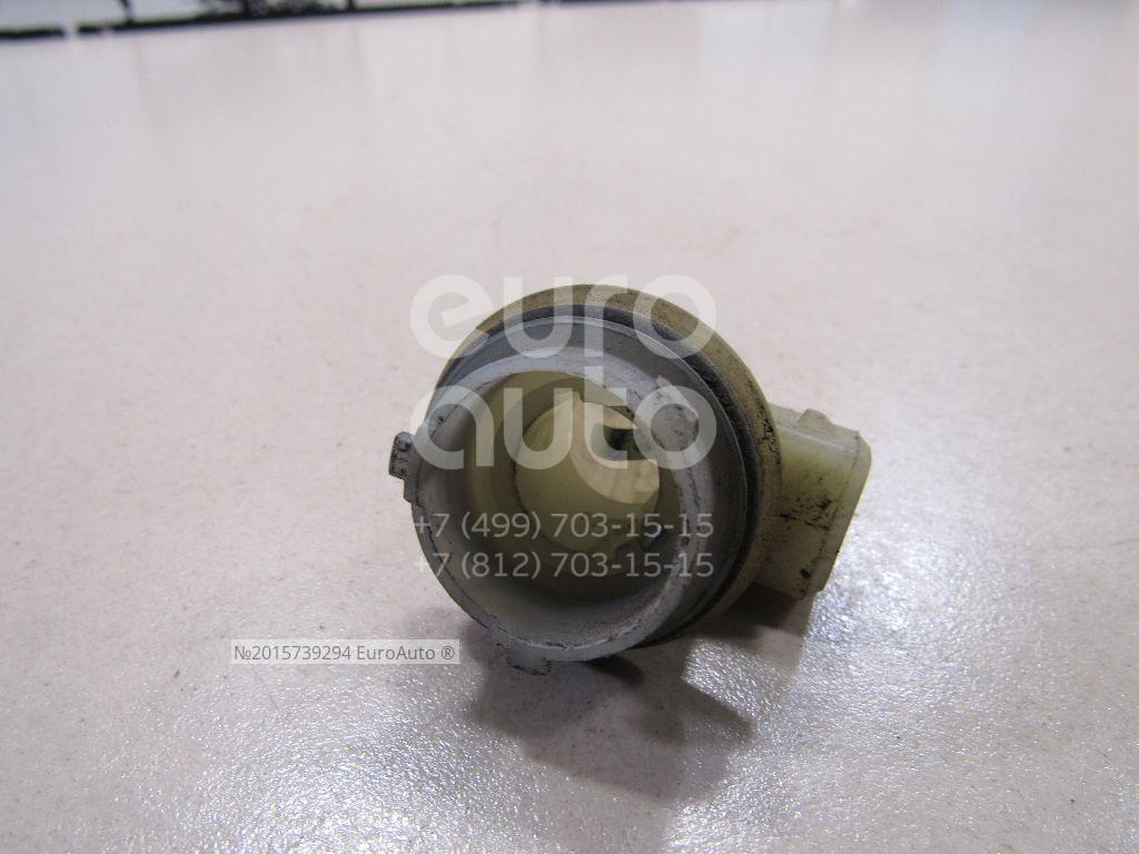 701953123 NTP Патрон лампы от производителя по спец цене купить