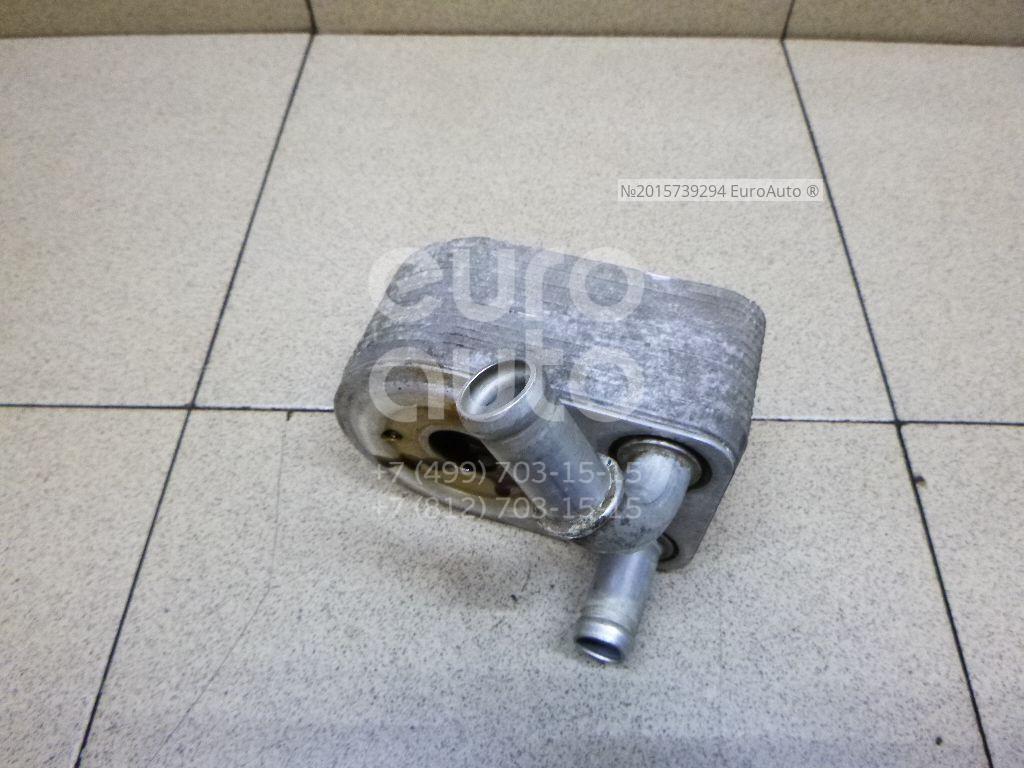 FO19025463 Dominant от 1250 руб. в Москве